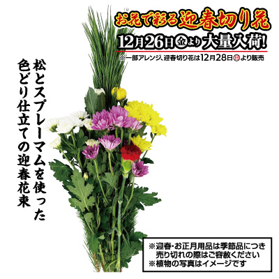 総力祭第2弾 年末応援特集 ｜チラシ情報｜DCM(カーマ)